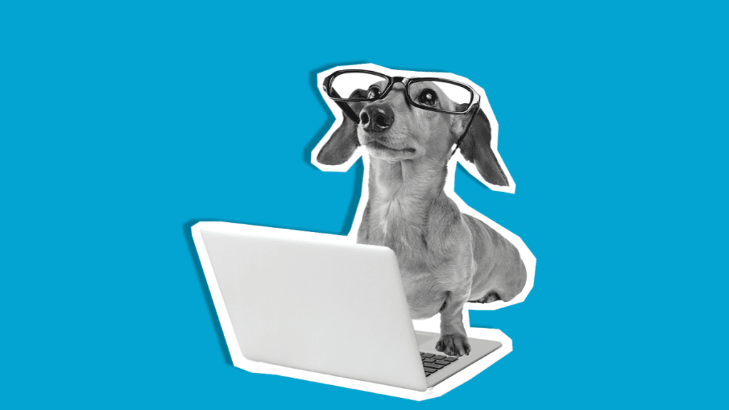 Telegram Web einrichten: So nutzt du Telegram im Browser! 🔥