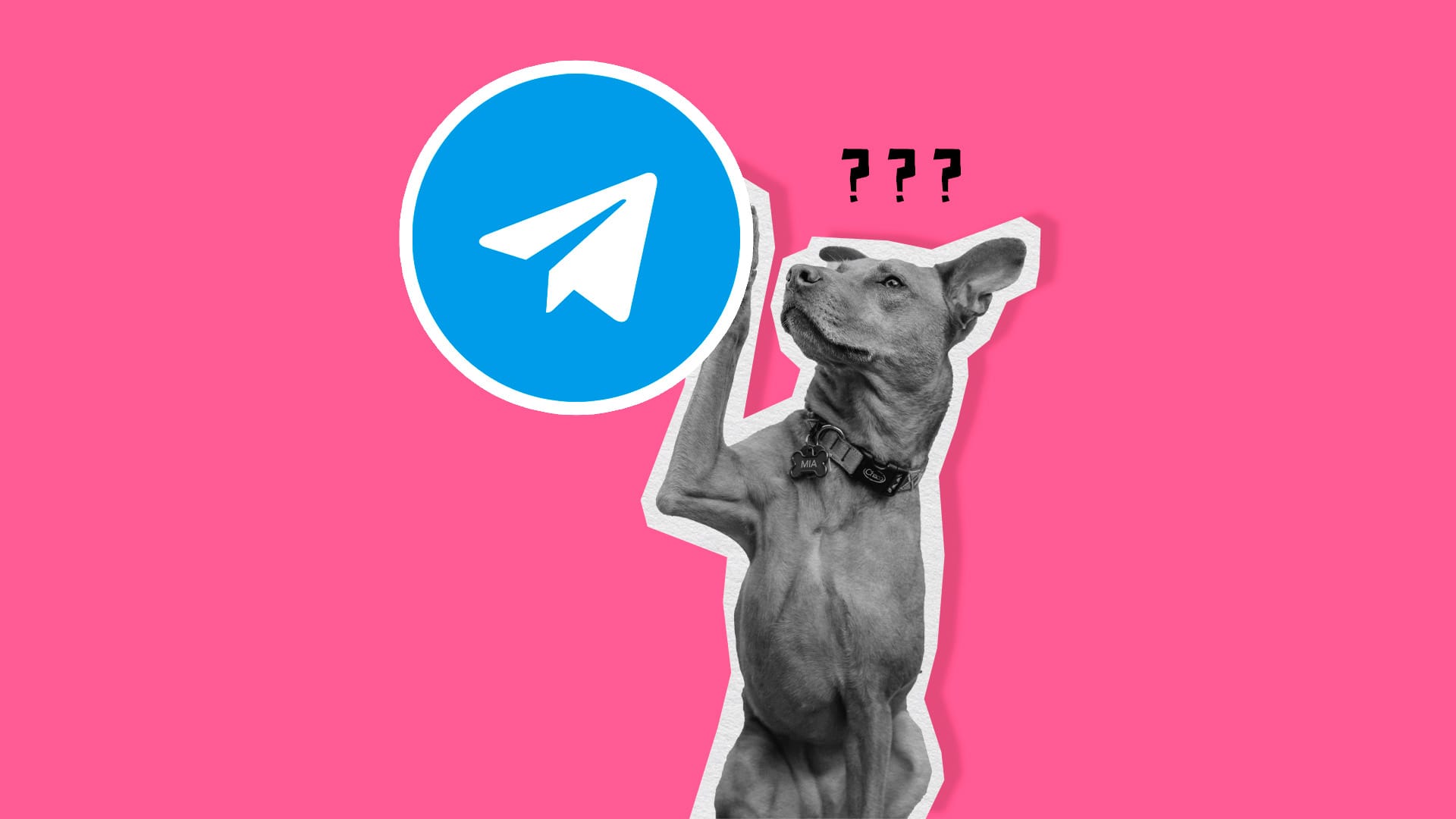 Descubre qué es Telegram, la alternativa a WhatsApp Descubre qué es Telegram, la alternativa a WhatsApp
