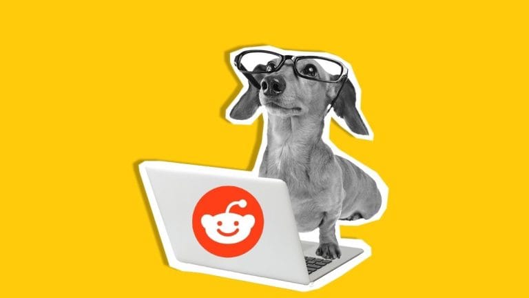 Reddit Marketing Guide: Master “The People’s Platform” | Metricool