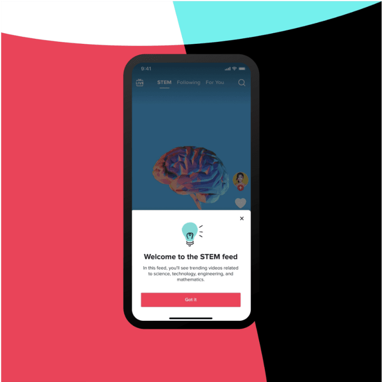 TikTok STEM feed, for a continued learning experience