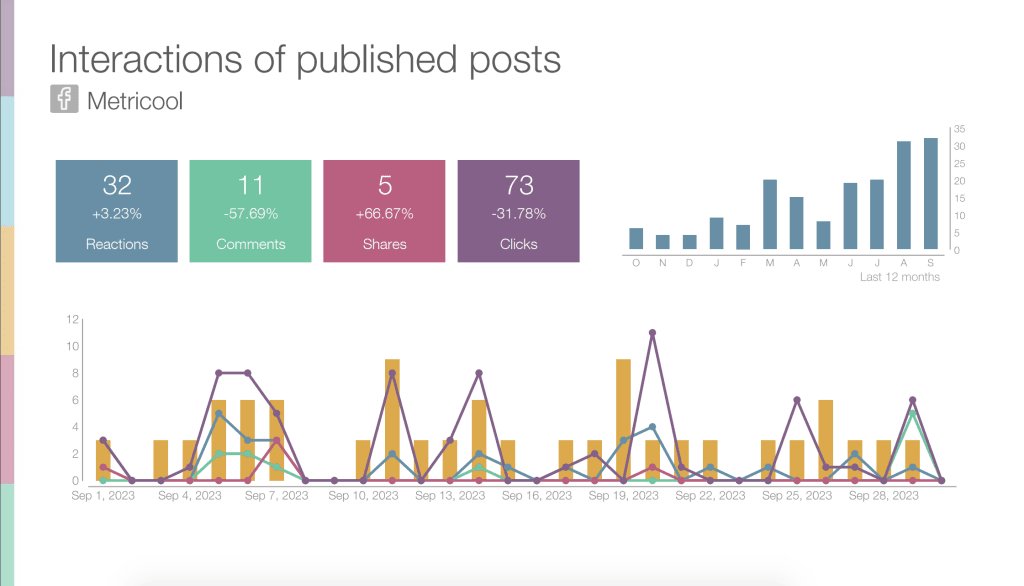 Custom Facebook Analytics Report with Metricool