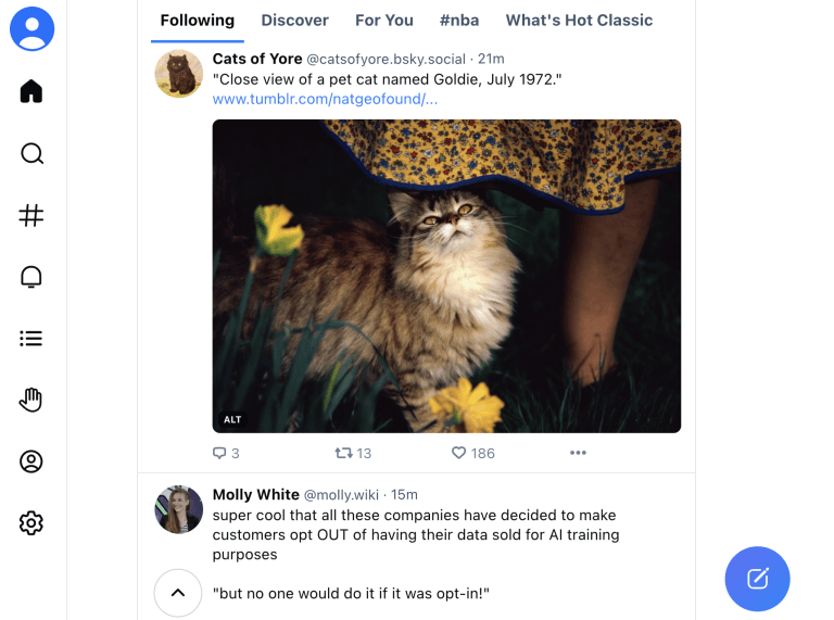 How to Use The Bluesky Social Media App