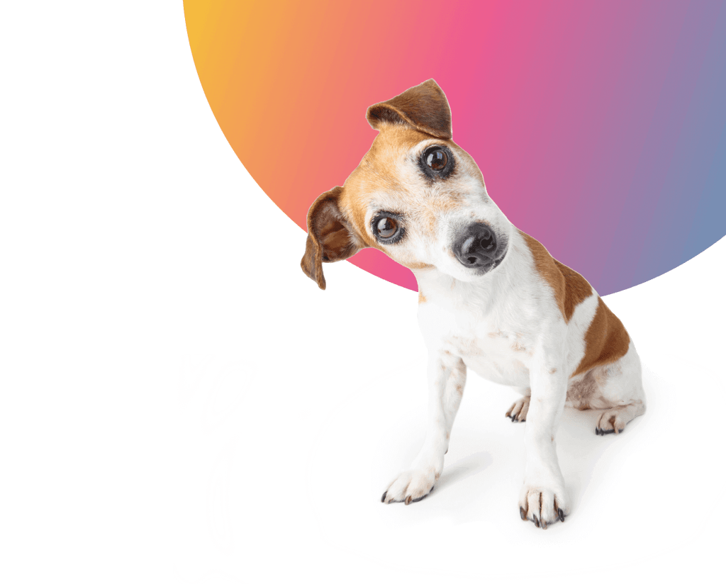 Metricool Affiliate Program