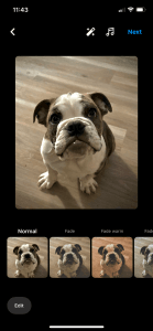 How to Add Music to Instagram Posts: Increase Reach with Viral Songs