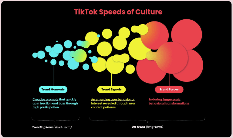 Guide to TikTok’s Creative Center for Marketers and Creators