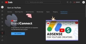 What is The YouTube Partner Program?