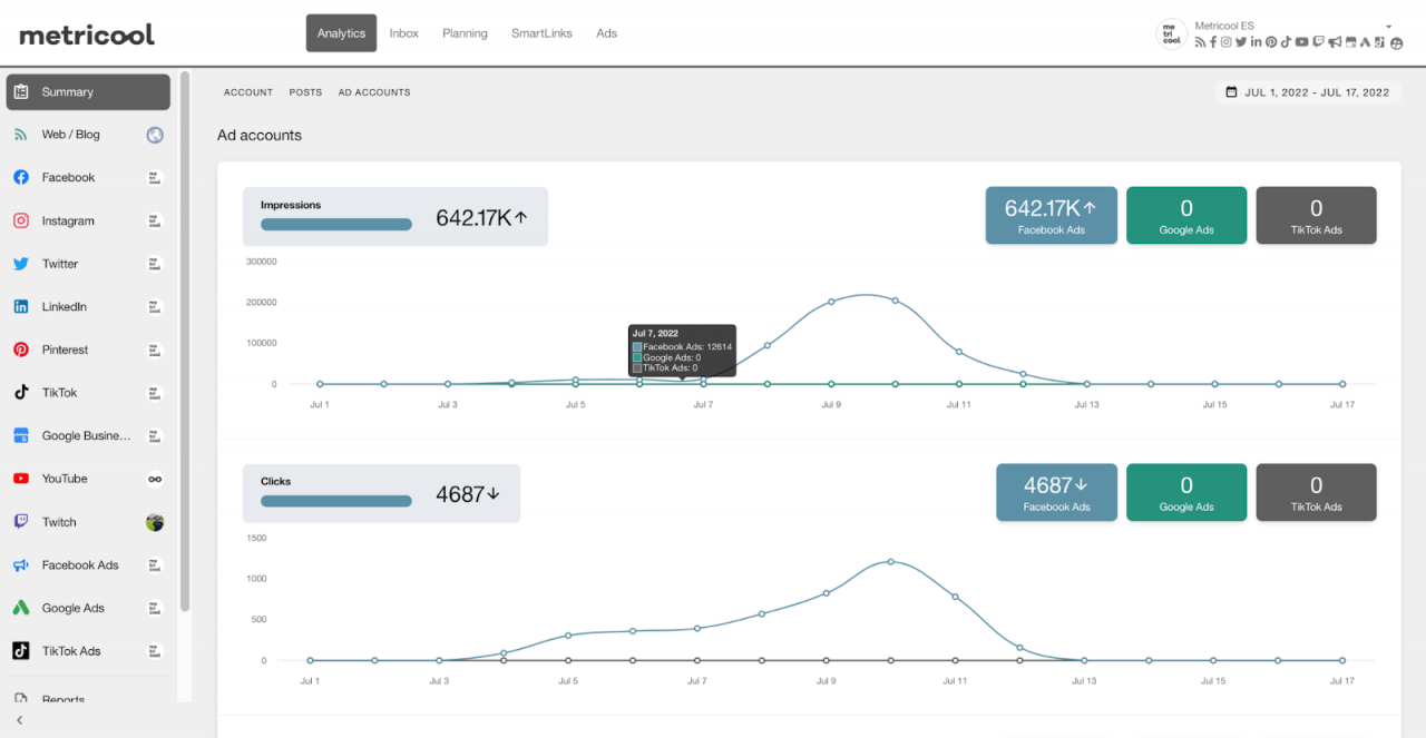 Social media analytics — Metricool Brand Summary