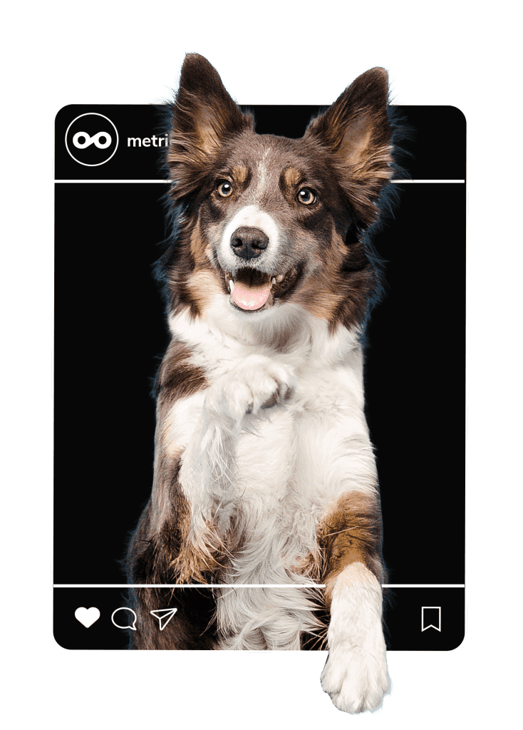 Instagram-Hashtag-Generator | Metricool