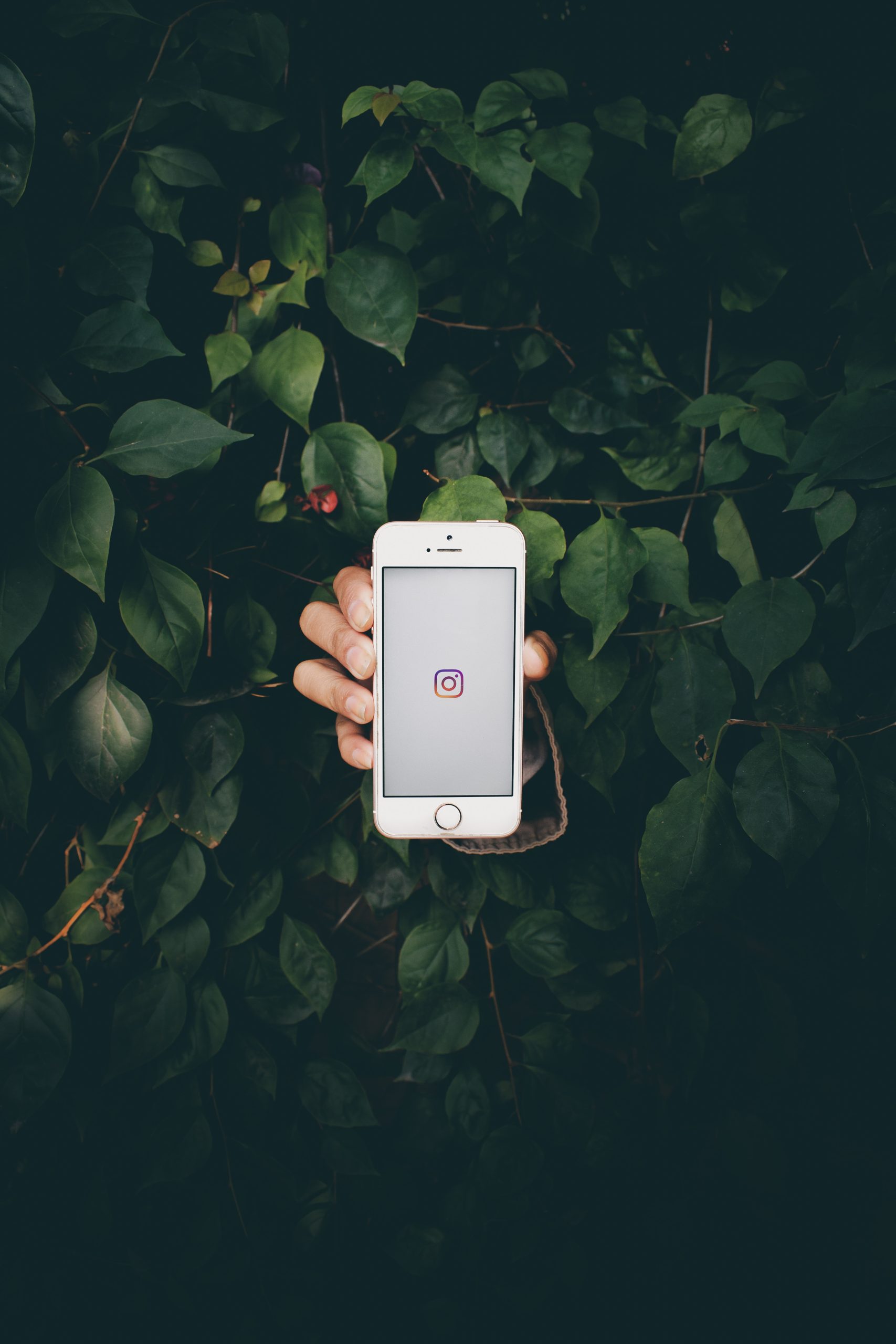 Instagram News: Features Through the Years