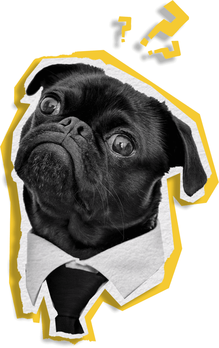 Étude LinkedIn 2024 : statistiques, conclusions et tendances