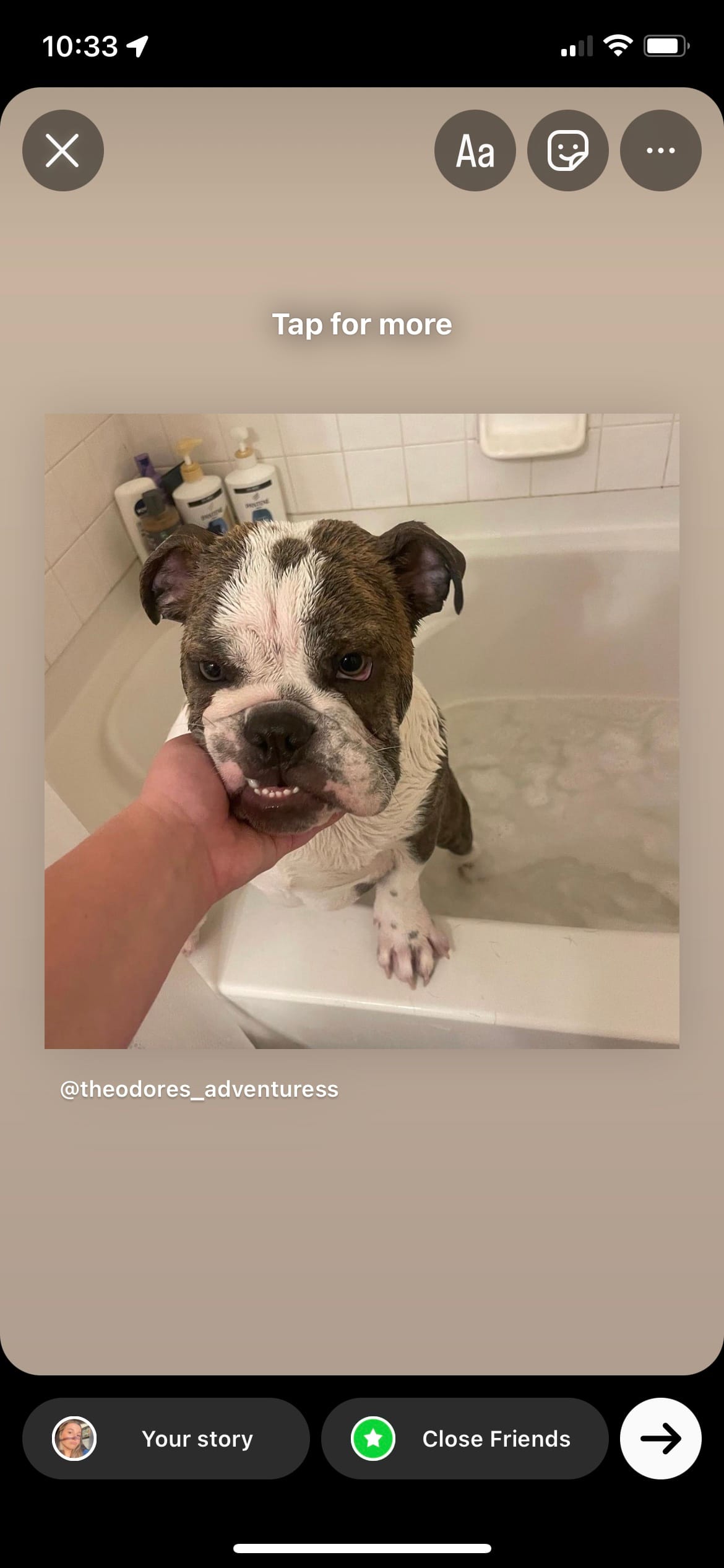 How to Repost a post on Instagram, Step-by-Step