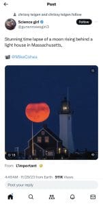How to Share a Video on Twitter Without Retweeting